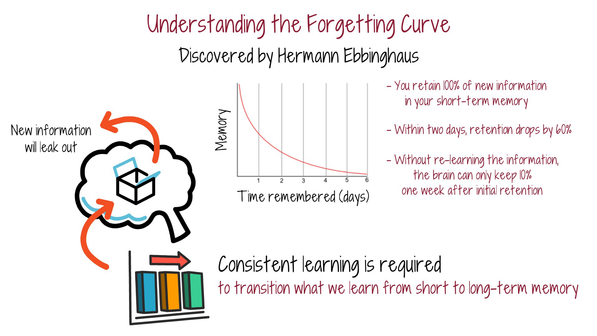Why Constant Learning is the Key to Success - The Art of Improvement